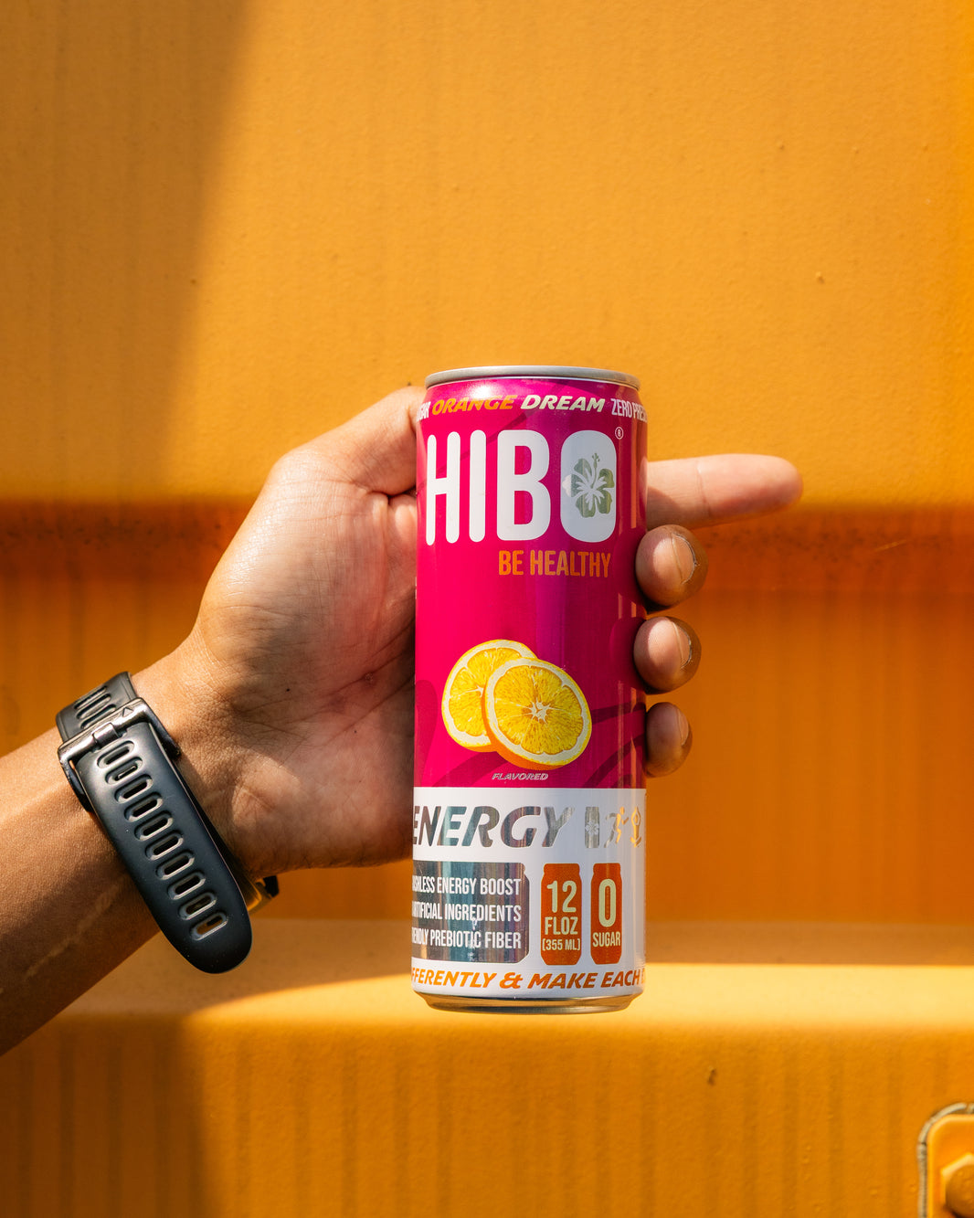 Products – HIBO Energy