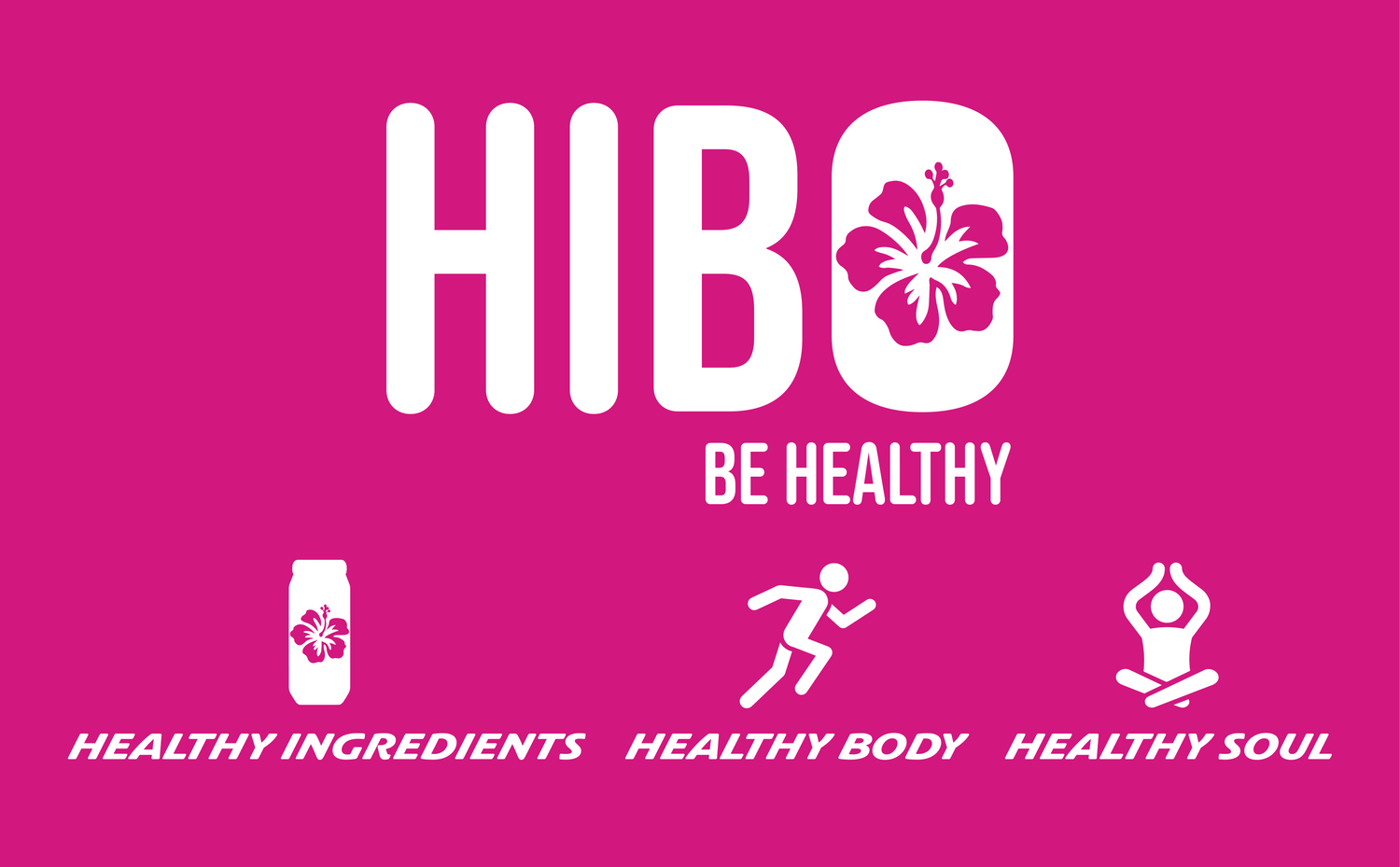 HIBO Gut-Healthy Energy Drink – HIBO Energy